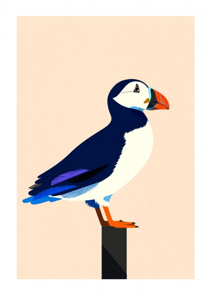 Perroquet de Mer Art Print – le bébé