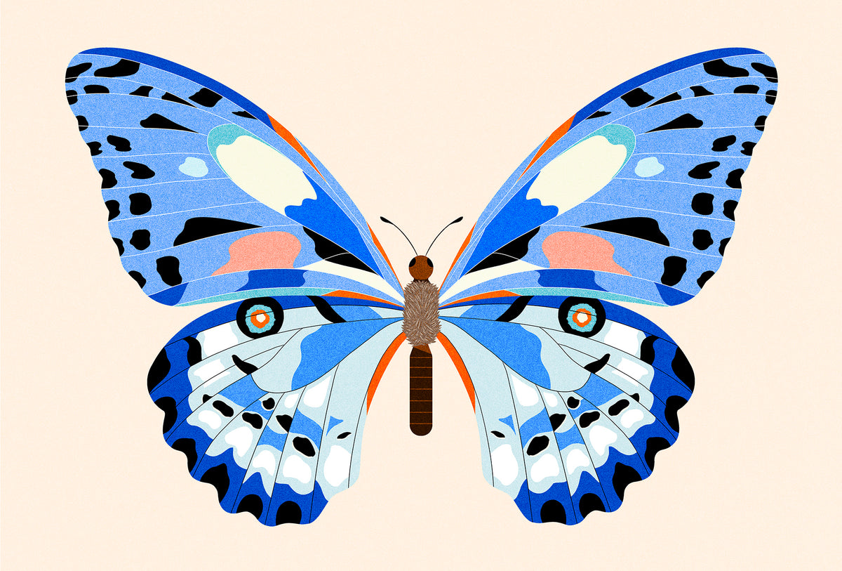 Papillon Art Print – le bébé
